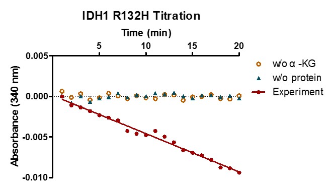 Recombinant IDH1 (R132H) protein | Proteintech | 武汉三鹰生物技术有限公司