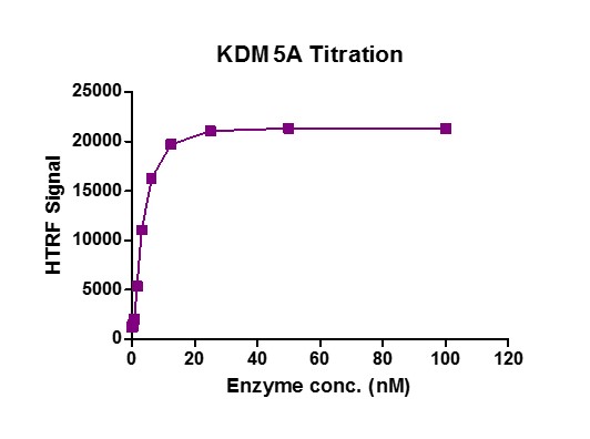 Recombinant JARID1A / KDM5A protein | Proteintech | 武汉三鹰生物技术有限公司