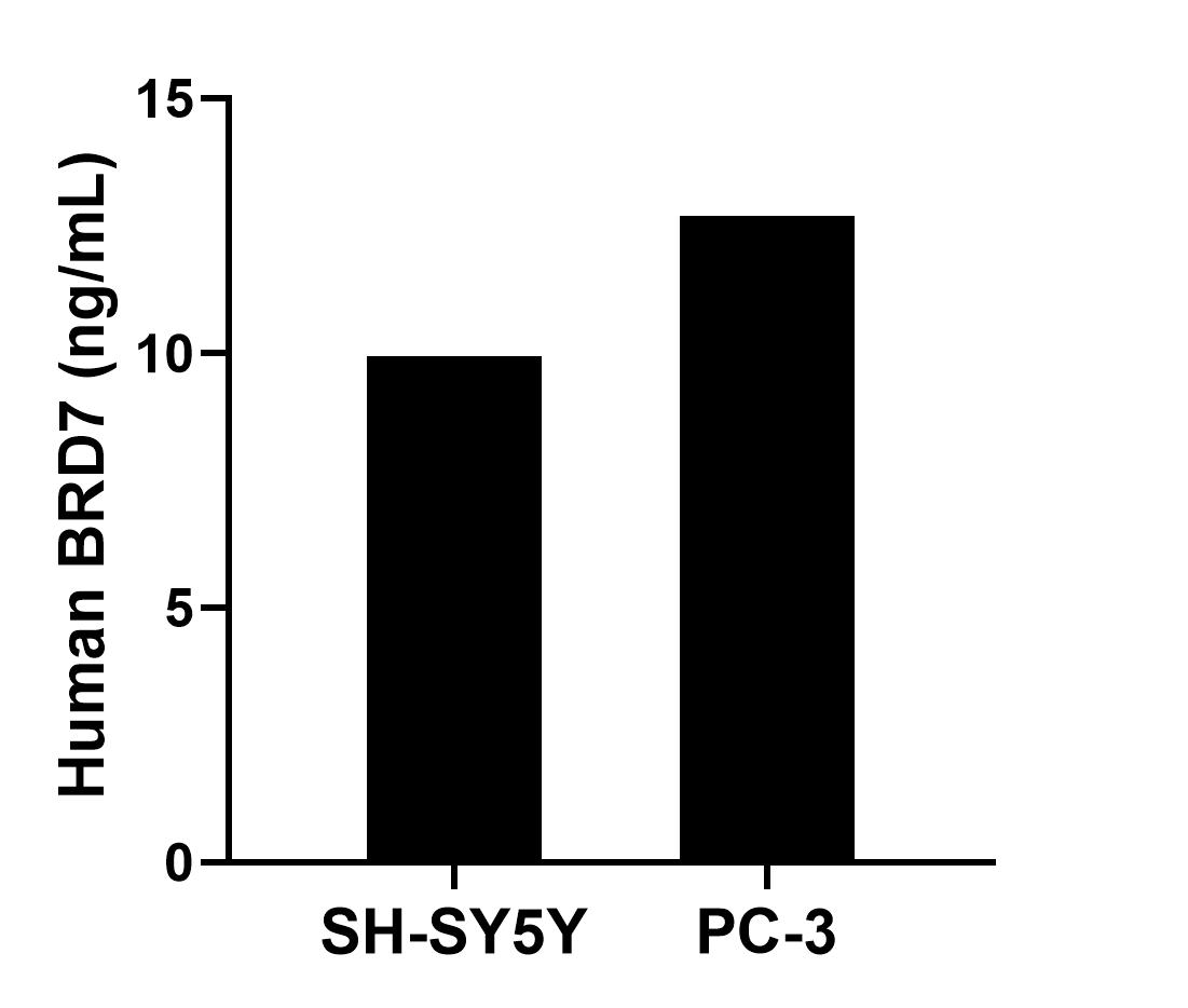 BRD7 antibody (86176-4-PBS) | Proteintech | 武汉三鹰生物技术有限公司