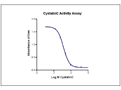 Proteintech Cystatin C endotoxin-free recombinant protein, human cell ...