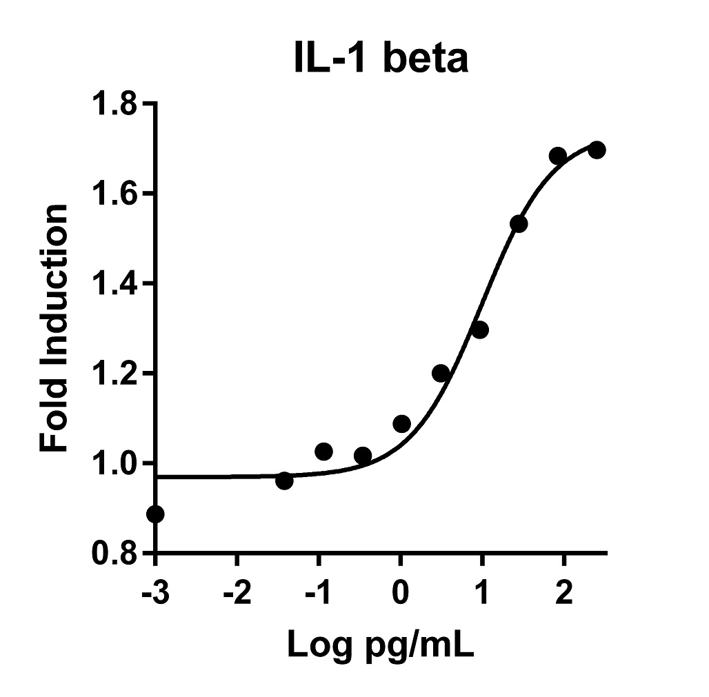 Proteintech IL-1 beta endotoxin-free recombinant protein, human cell ...