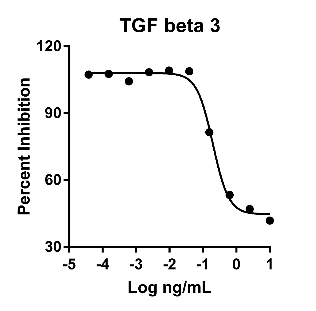 Animal-free Recombinant Human TGF beta 3 | Proteintech