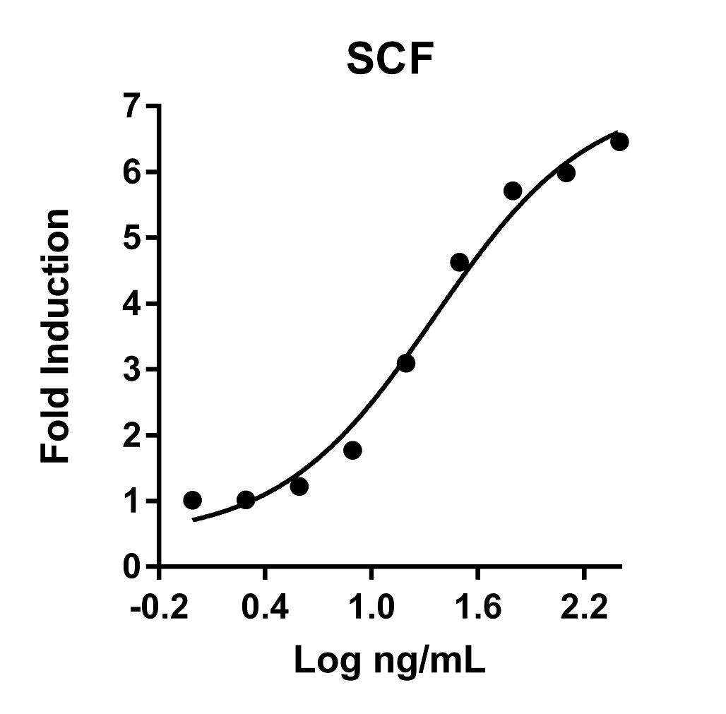 Humankine SCF recombinant protein: endotoxin free, human cell-expressed ...