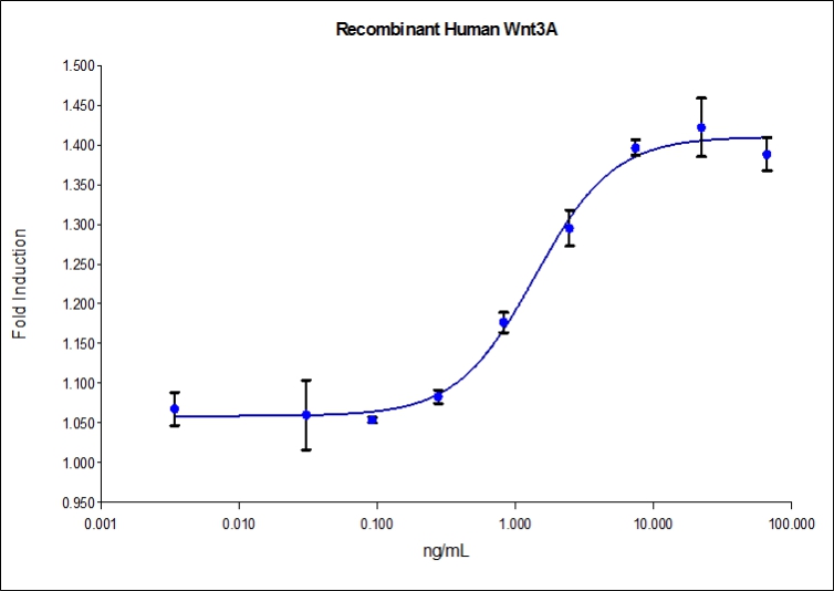 Humankine Wnt3A recombinant protein: endotoxin free, human cell ...