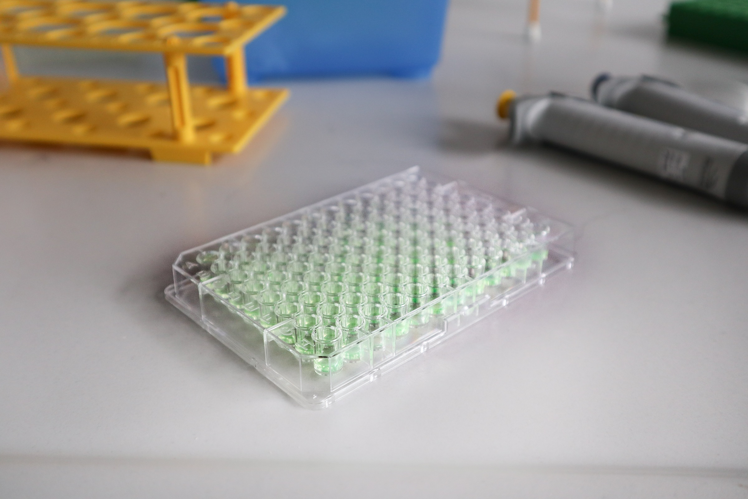 GFP-Trap® Multiwell Plate | Proteintech | 武汉三鹰生物技术有限公司