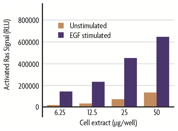 Ras GTPase Chemi ELISA Kit | Proteintech | 武汉三鹰生物技术有限公司